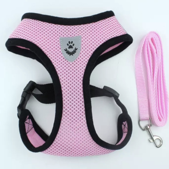 Everything Pets Posh Party on Poshmark